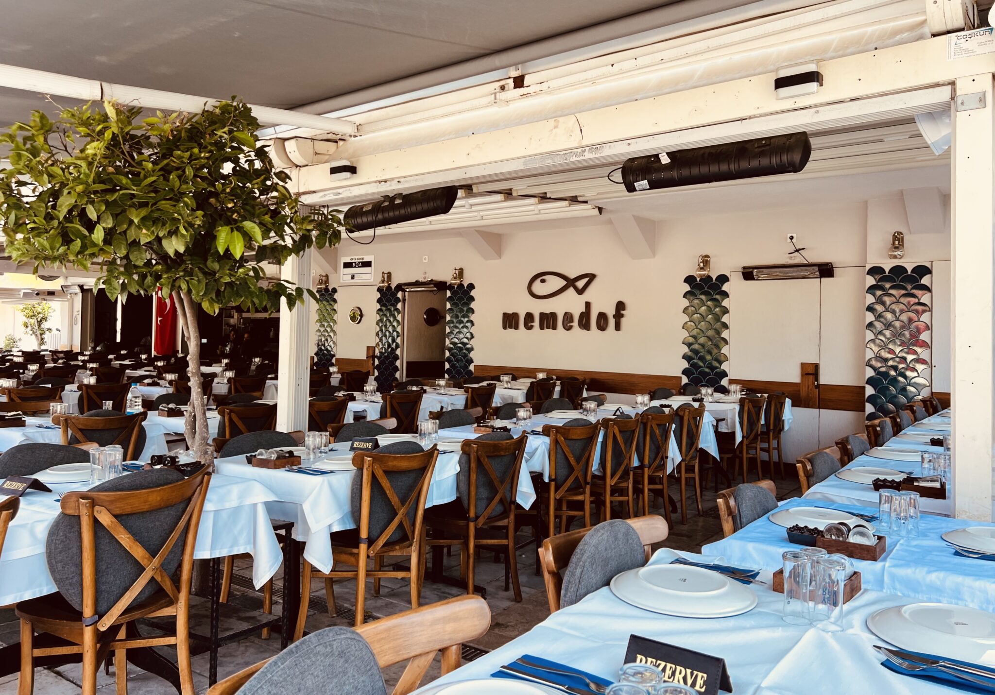 Bodrum Balıkçıları | Müdavim