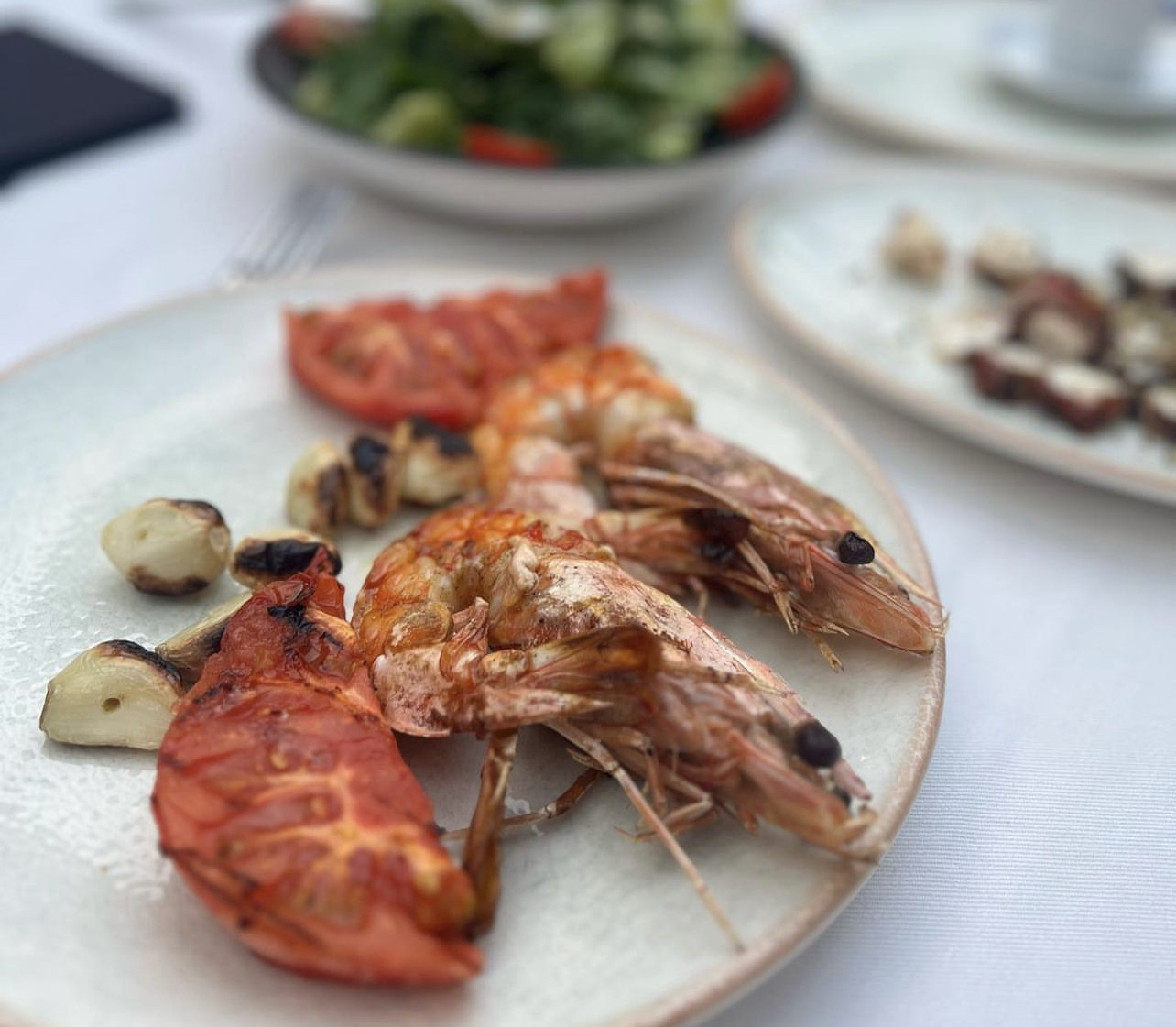 set-balik-kirecburnu - Müdavim